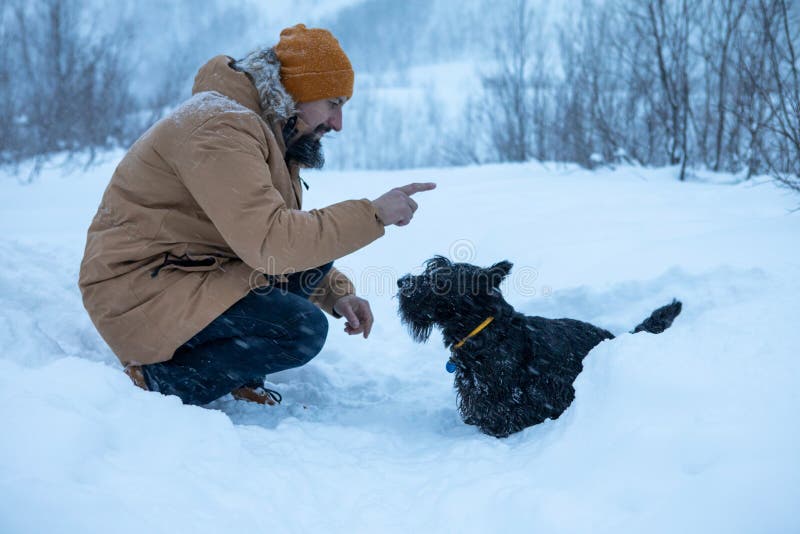 Cute Dog Performs a Command of His Master Stock Image - Image of master ...