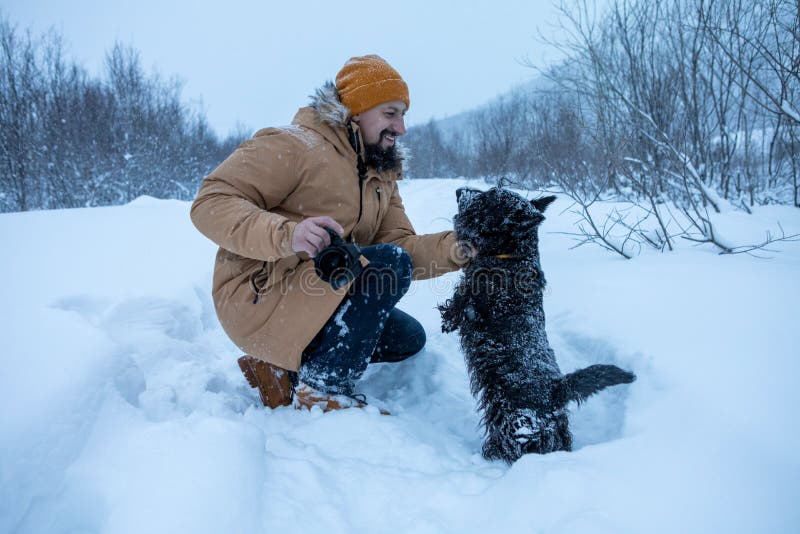 Cute Dog Performs a Command of His Master Stock Image - Image of doggy ...