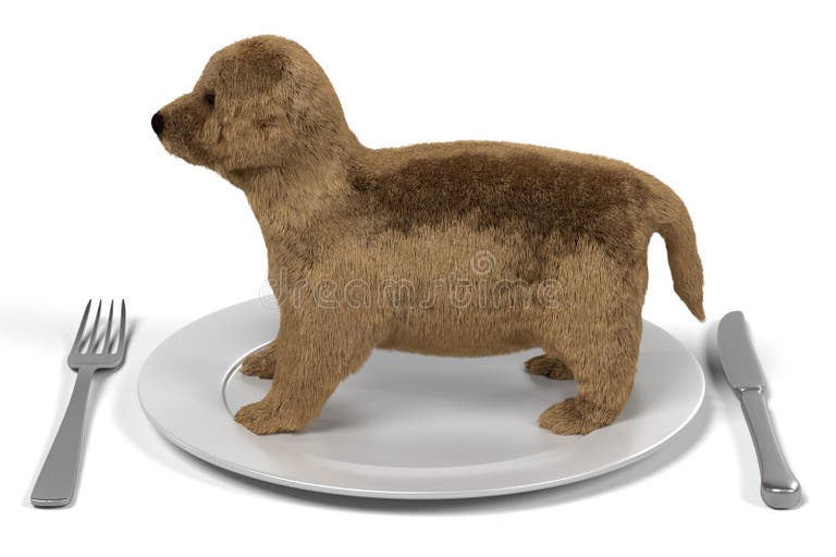 Cute dog on plate stock illustration. Illustration of cute - 82527296
