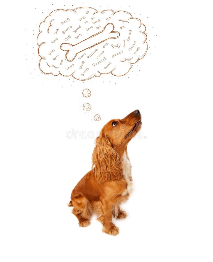 Cute Dog with Thought Bubble Thinking about a Bone Stock Image - Image ...