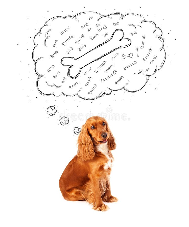 Cute Dog with Thought Bubble Thinking about a Bone Stock Image - Image ...