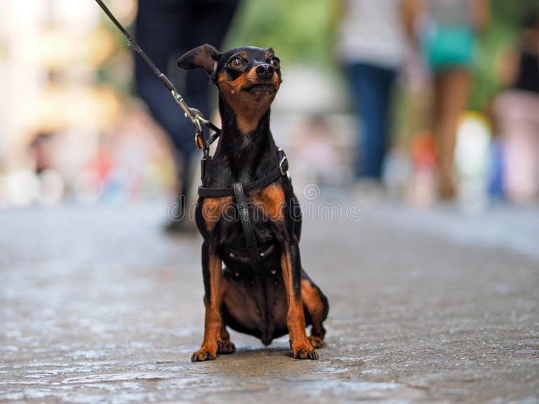 Toledo Baby Photographer Stock Photos - Free & Royalty-Free Stock ...