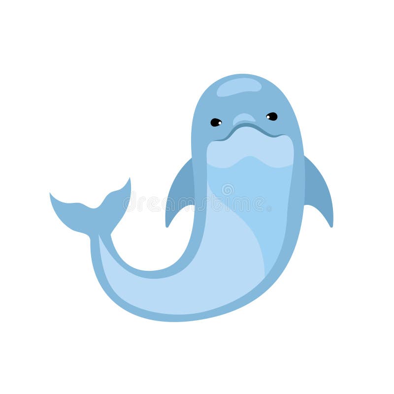 Cute dolphin front view stock vector. Illustration of aquatic - 324115441