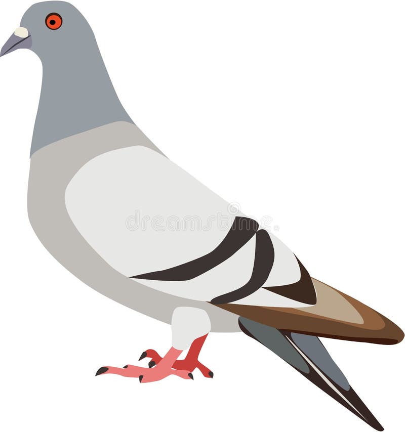 Cute dove vector stock vector. Illustration of colorful - 49399480