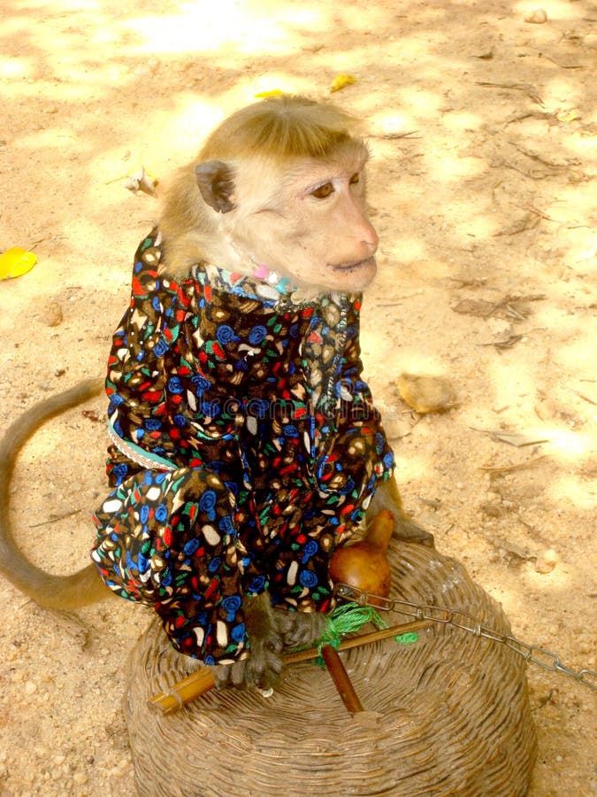 Dressed Up stock image. Image of colorful, beautiful, dress - 6060569