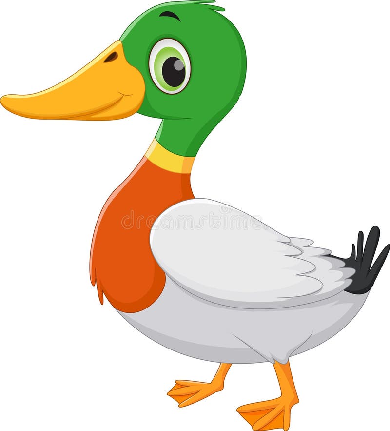 Happy duck cartoon stock vector. Illustration of beak - 59157773