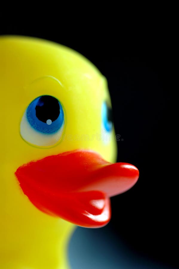 Cute Ducky stock image. Image of ducks, smile, time, beak - 1970067