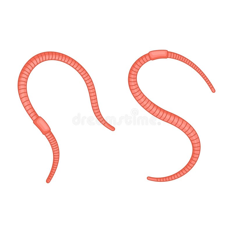Cute Earthworm Set on White Background. Vector Stock Vector ...