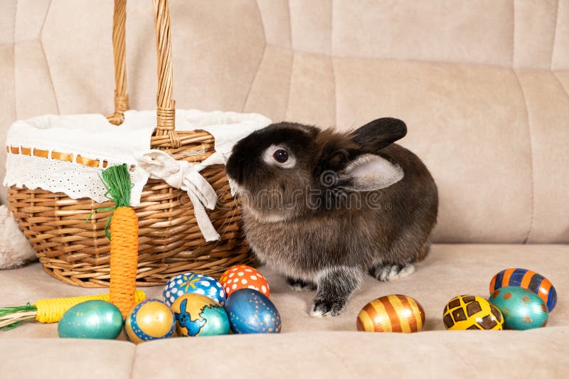 A Cute Easter Brown Rabbit Sits on a Couch with Painted Eggs. Stock ...