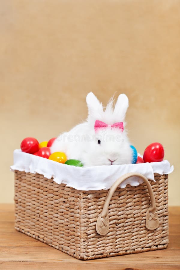 Cute but Grumpy Easter Bunny with Colorful Dyed Eggs Stock Photo ...