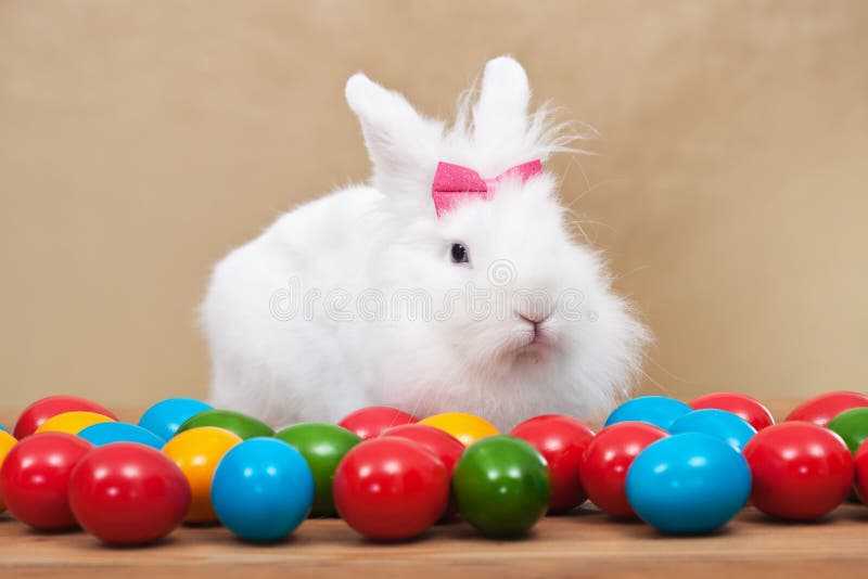 Cute Easter Bunny Sitting Iamong Colorful Eggs Stock Image - Image of ...