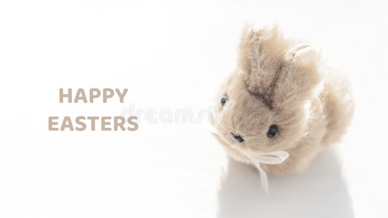 Cute Easter Bunny on White Background Stock Photo - Image of fluffy ...