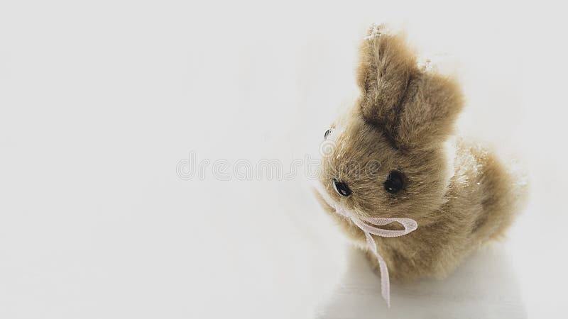 Cute Easter Bunny On White Background Stock Photo - Image of fluffy ...