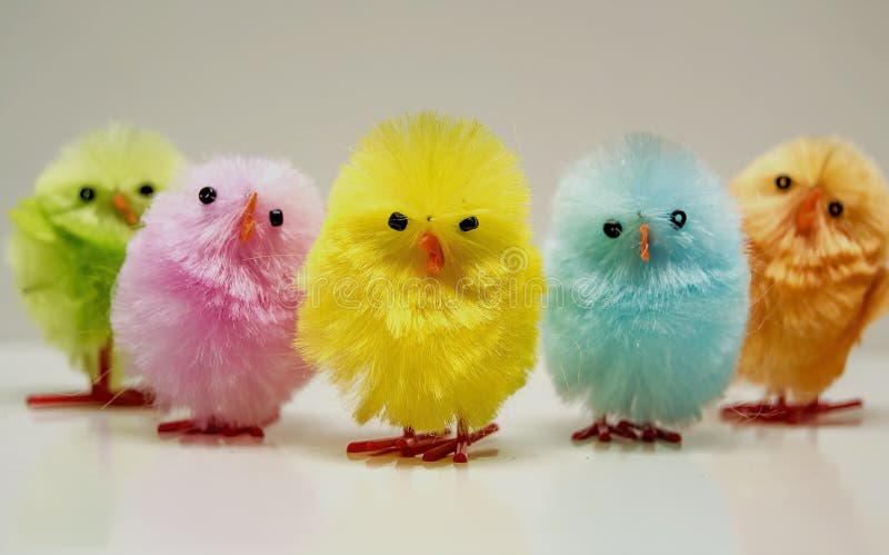 Cute easter chicks stock image. Image of yellow, feathers - 52477531