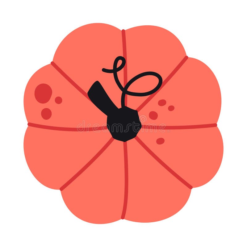 Cute Fall Pumpkin, Top View. Modern Vector Illustration Isolated on ...