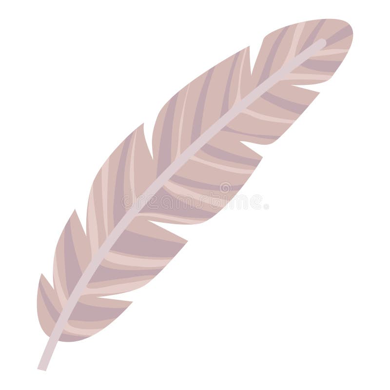 Cute feather design stock vector. Illustration of decoration - 249257428
