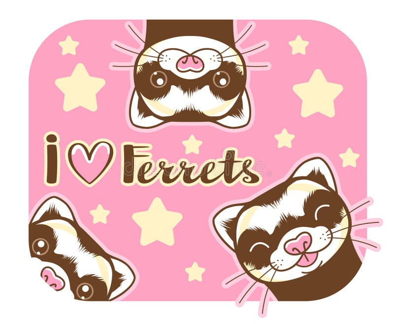 Cartoon Ferrets Stock Illustrations – 36 Cartoon Ferrets Stock ...