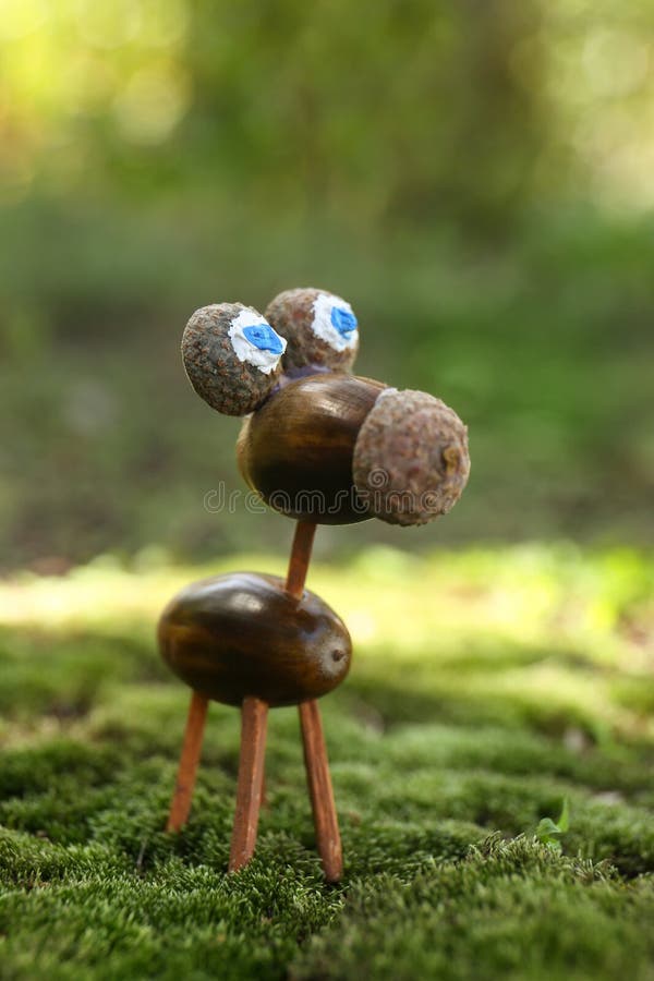 Cute Figure Made of Acorns on Green Moss Outdoors Stock Image - Image ...