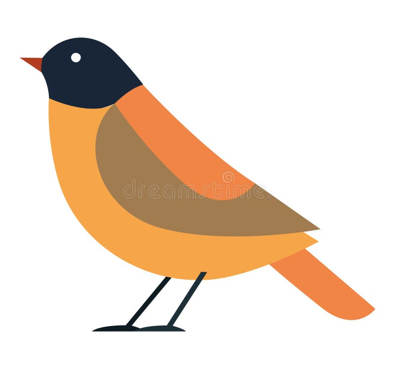 Cute Finch with Yellow Feathers Stock Vector - Illustration of cute ...
