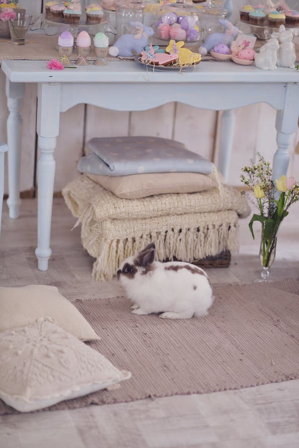 Cute Fluffy Easter Bunny on the Background of Easter Decor in Pastel ...