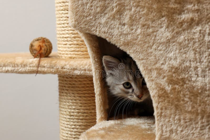 Exploring the light stock image. Image of blue, form - 18607349