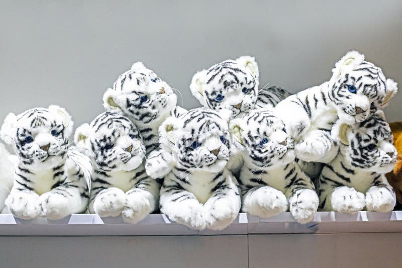 Cute Fluffy Soft Toy White Tigers Stock Photo - Image of tigers, items ...