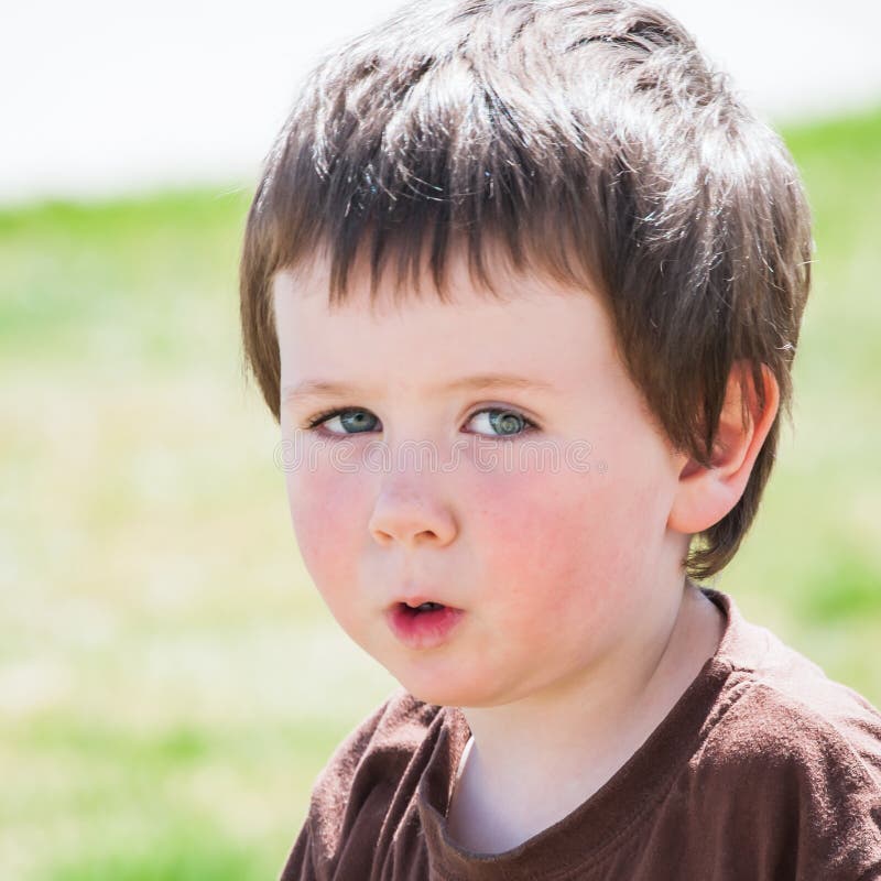 Cute four year old boy stock image. Image of cute, portrait - 140537317