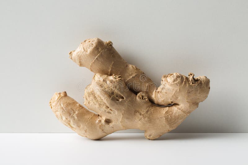 Cute Fresh Ginger Root on White Floor and Grey Wall Stock Image - Image ...