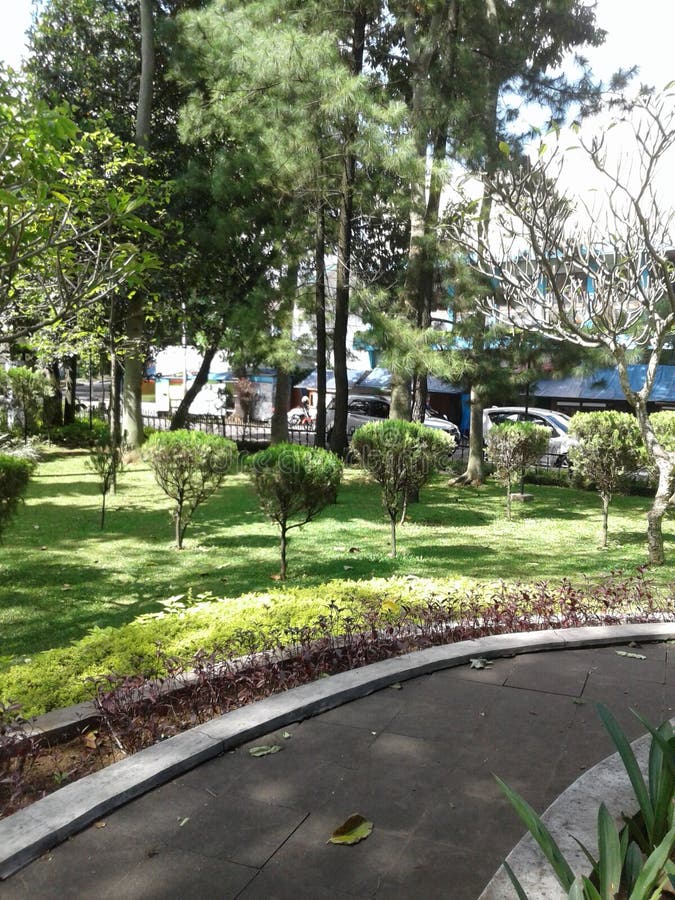 A Cute Fresh Green Park in the City Stock Image - Image of bright, park ...