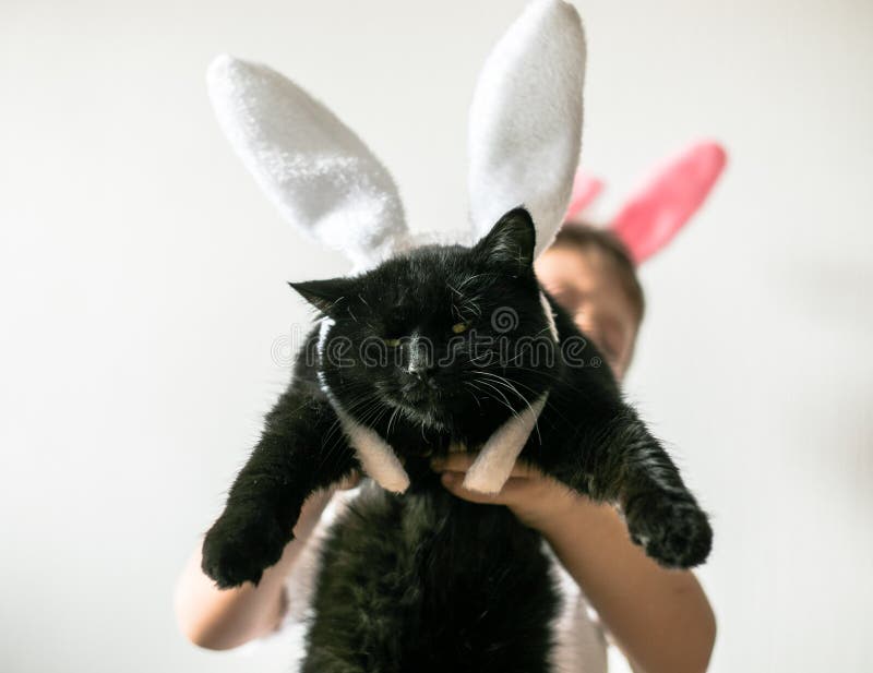 Cute Funny Black Cat in Bunny Ears on White Background. Cat in Suit for ...