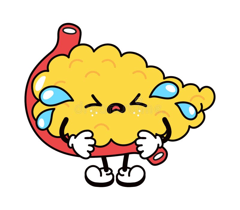 Pancreas Kawaii Stock Illustrations 98 Pancreas Kawaii Stock Illustrations Vectors And Clipart