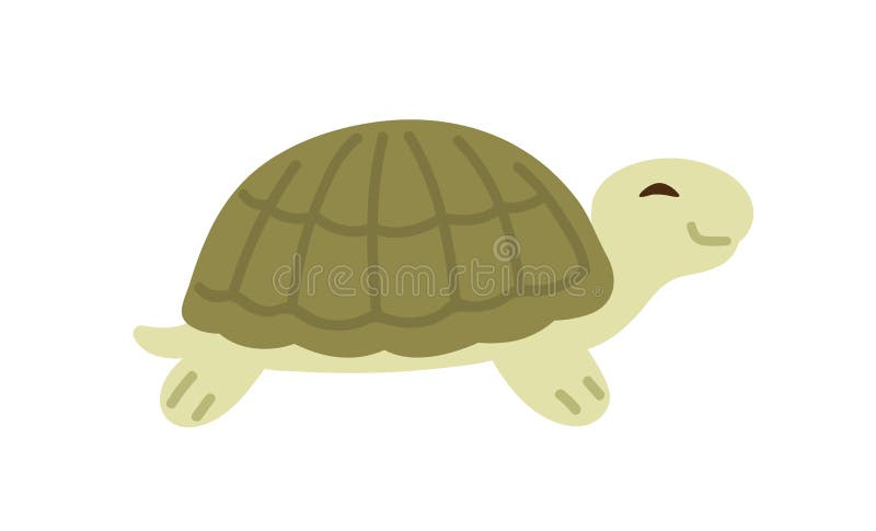Vector Side View Turtle Stock Illustrations – 167 Vector Side View ...