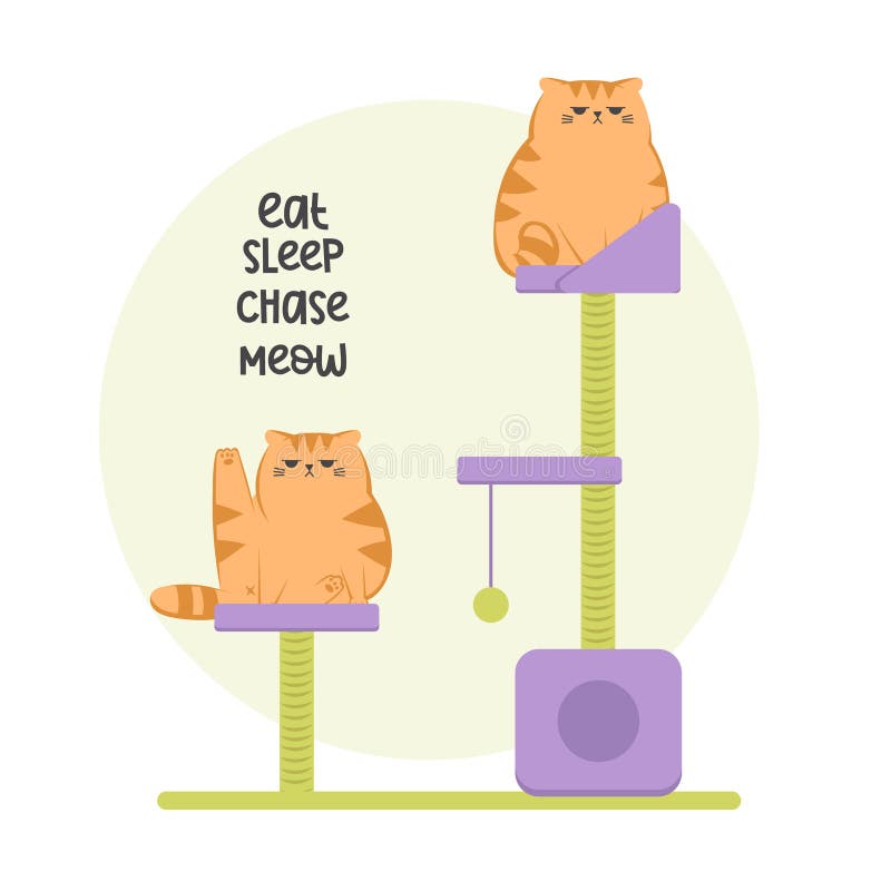 Cute Funny Grumpy Ginger Cat. Cats Playing with Cat House Stock ...