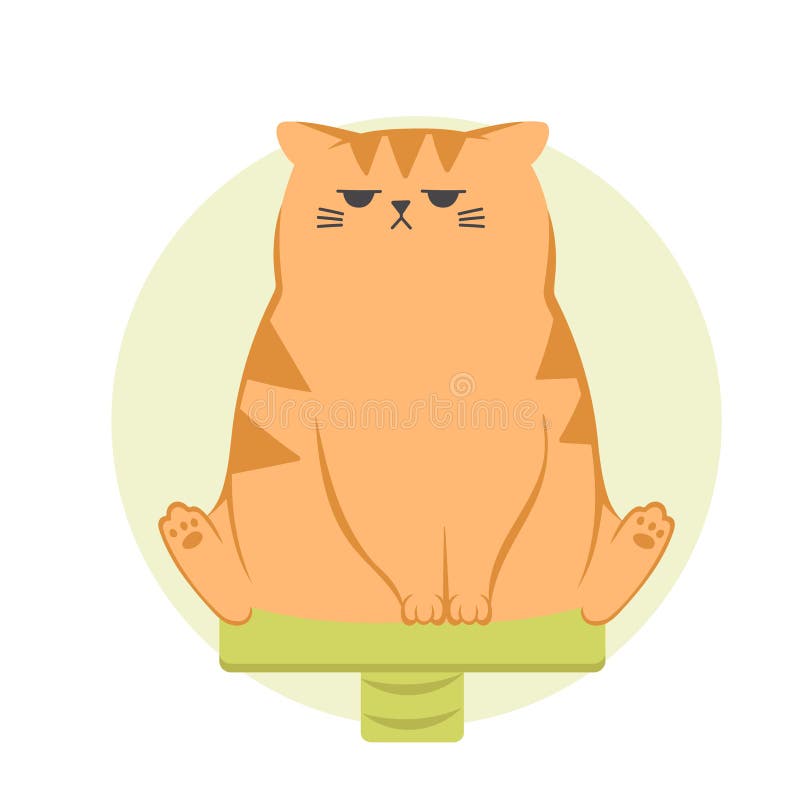 Cute Funny Grumpy Ginger Cat. Cat Sitting on Cats House Stock ...