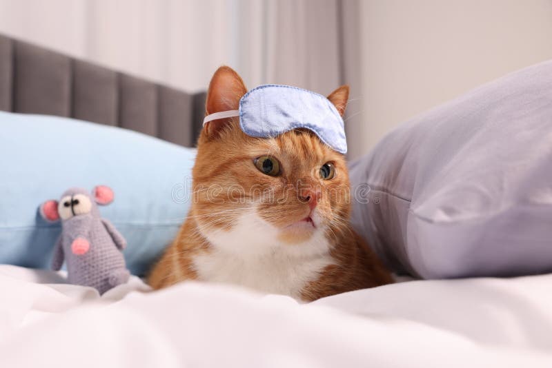 Cute Ginger Cat with Sleep Mask and Crocheted Mouse Resting on Bed ...