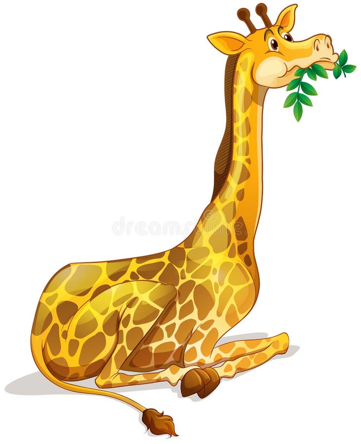 Giraffe Eating Leaves Stock Illustrations – 88 Giraffe Eating Leaves ...