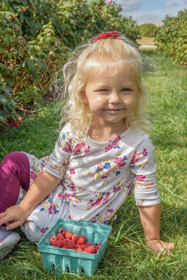 Cute girl in a berry patch stock photo. Image of hair - 100764242