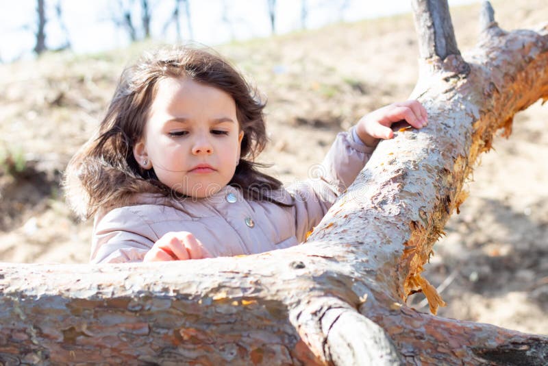 Cute Girl with Developing Long Hair is Played Near a Lying Tree Stock ...