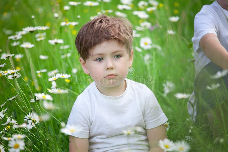 Cute girl in field stock photo. Image of daisy, green - 19821760