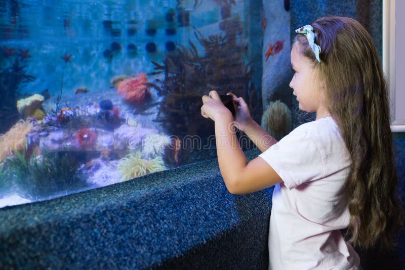 Cute Girl Looking at Fish Tank Stock Photo - Image of environment ...