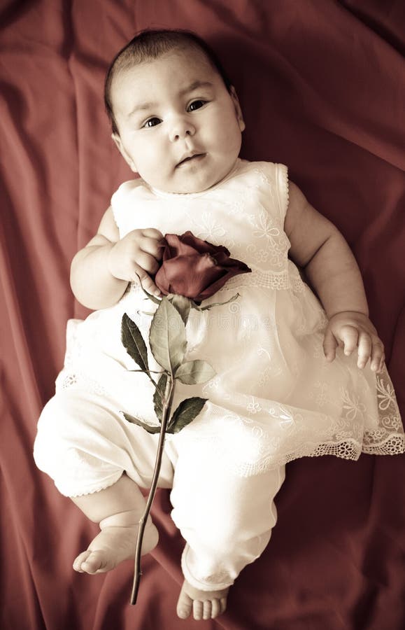 Cute girl with red rose stock image. Image of baby, body - 23754877