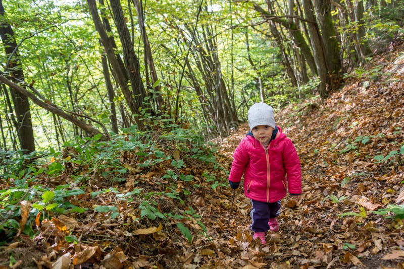 Cute Girl Strolling Along Autumn Forest Path. Stock Image - Image of ...