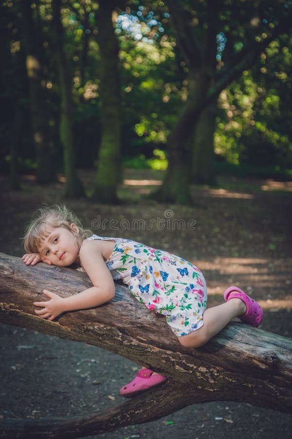 Cute Girl on a Tree Trunk in a Forest Stock Image - Image of outdoors ...