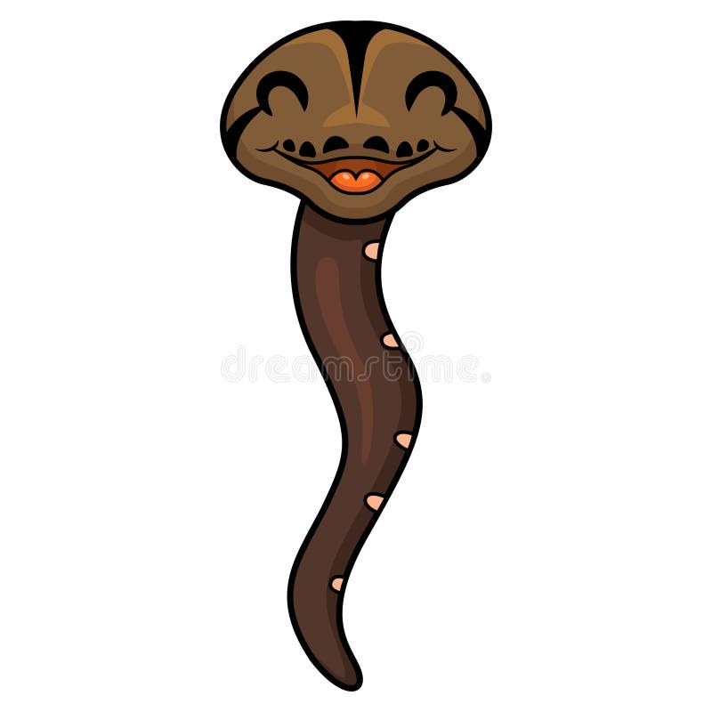 Cute Golden Child Phantom Reticulatus Python Cartoon Stock Vector ...