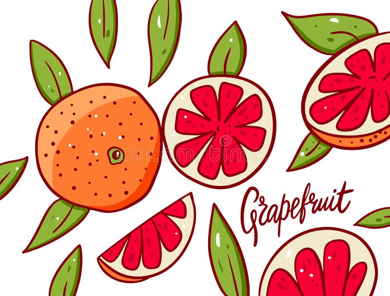 Cute Grapefruit Poster. Vector Illustration. Isolated on White ...