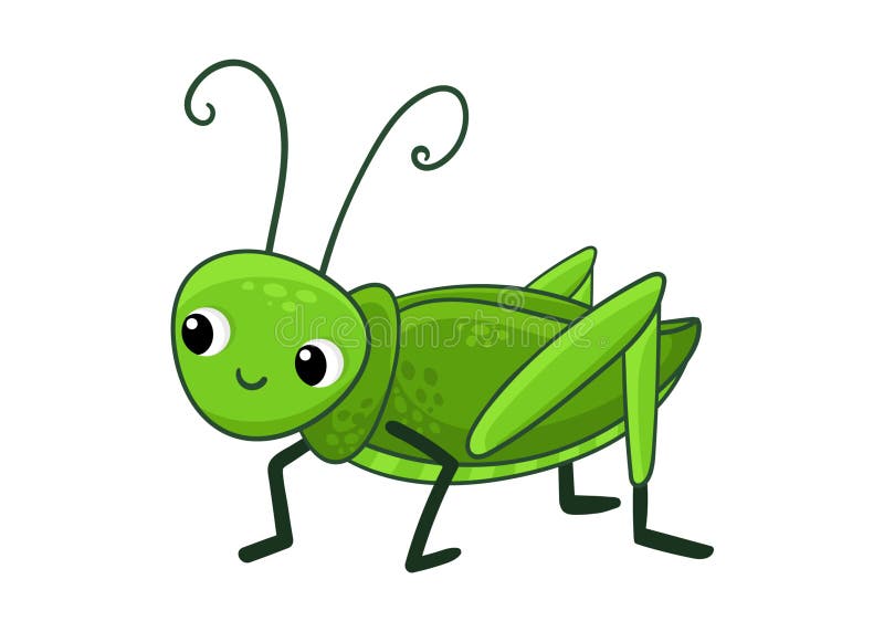Cute Grasshopper on a White Background. Vector Illustration with Insect ...