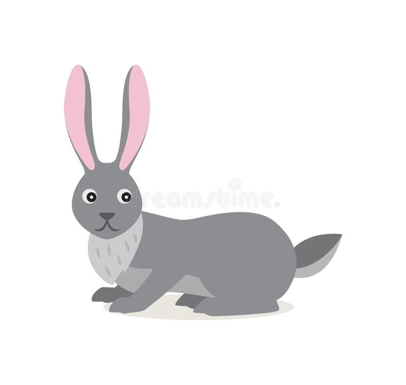 Cute Gray Rabbit Hare Isolated on White Background Stock Vector ...