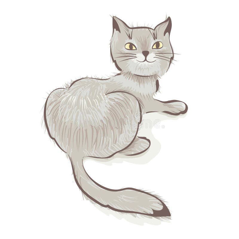 Cute gray smiling cat. stock vector. Illustration of animal - 49401975