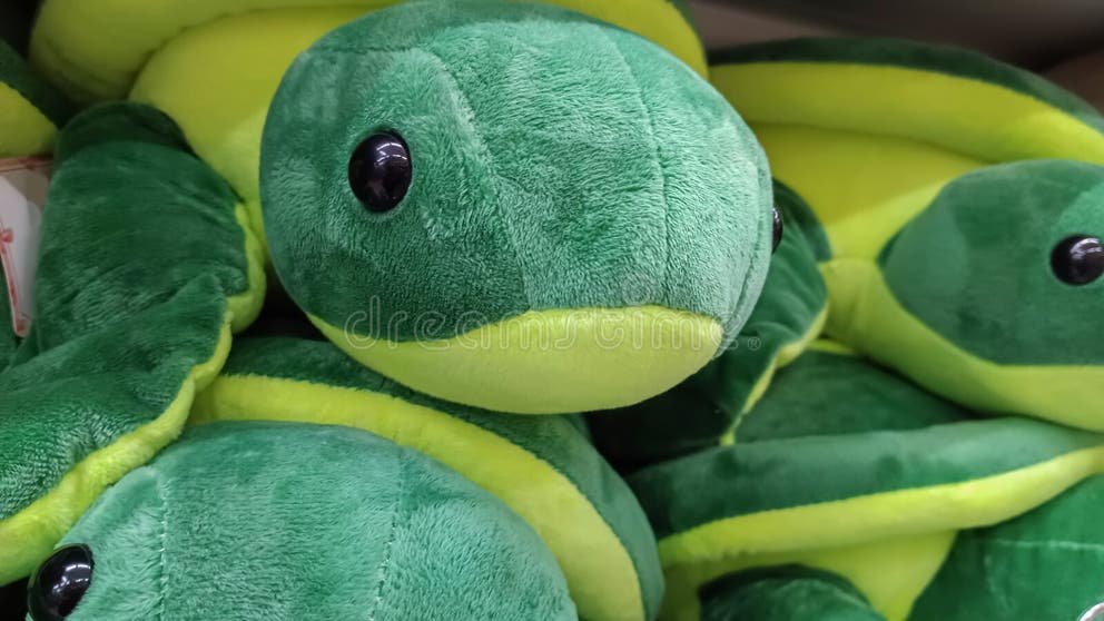A Cute Green Turtle Doll on the Shelf Stock Image - Image of concept ...