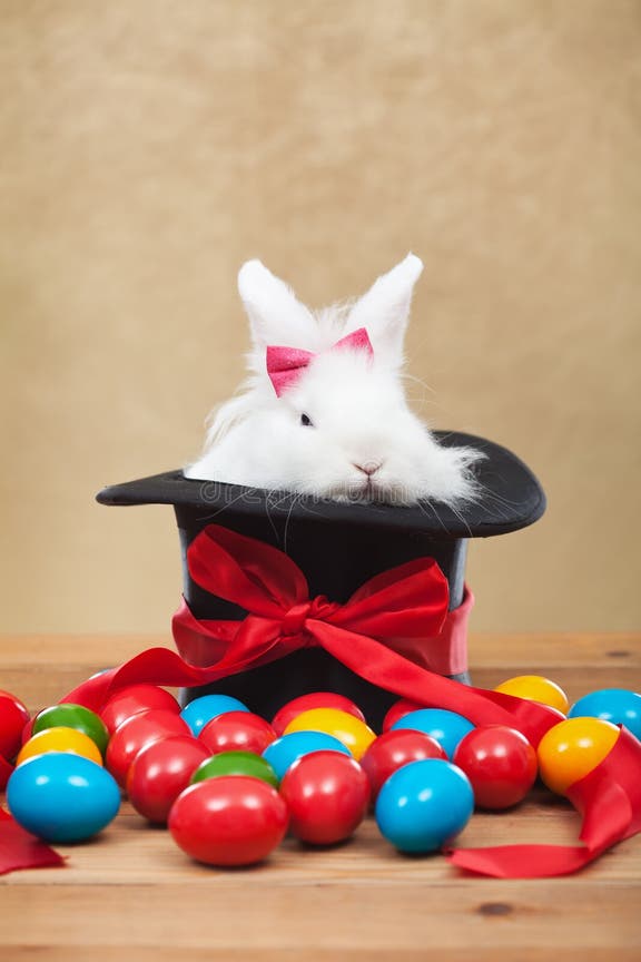 Cute but Grumpy Easter Bunny with Colorful Dyed Eggs Stock Photo ...